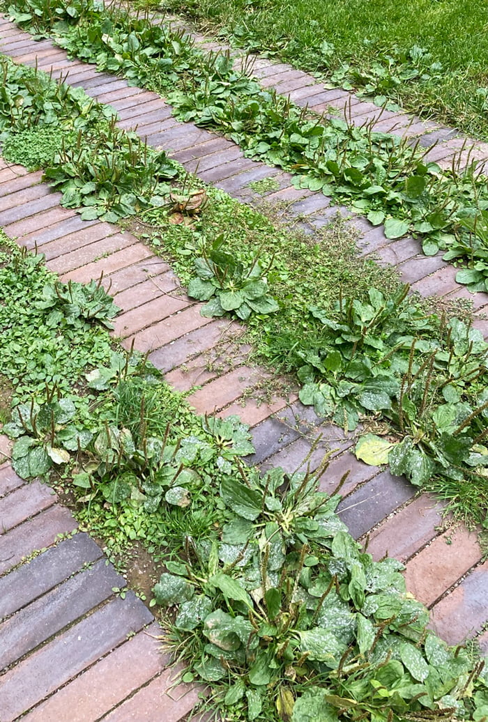 THE SOMPASAARI COURTYARD HAS BEEN FINISHED! - MASU Planning