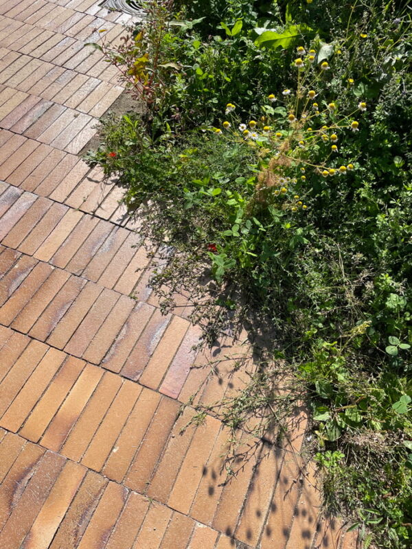 BEETHOVENSVEJ CLIMATE COURTYARD - MASU Planning